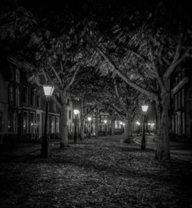 Night Walk Poem by Sylvia Plath - newpoeinwonderland