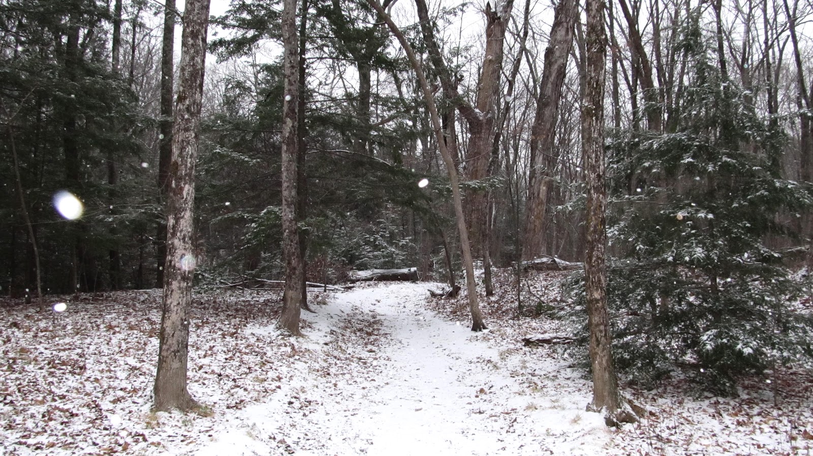 Robert Frost’s Stopping by Woods on a Snowy Evening - newpoeinwonderland