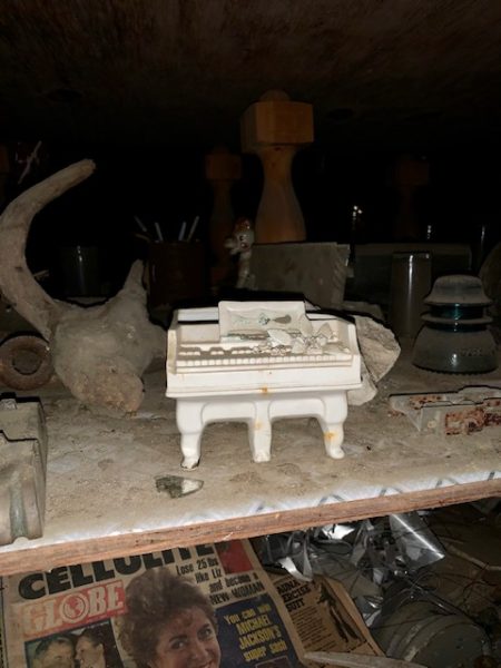 Touring Paradise Garden at Night - newpoeinwonderland