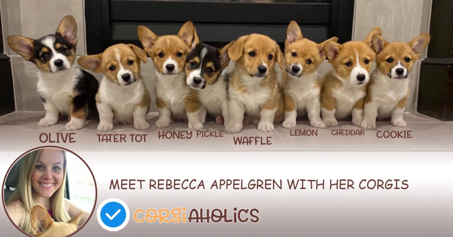 Marvelous Monday with Facebook Groups - newpoeinwonderland